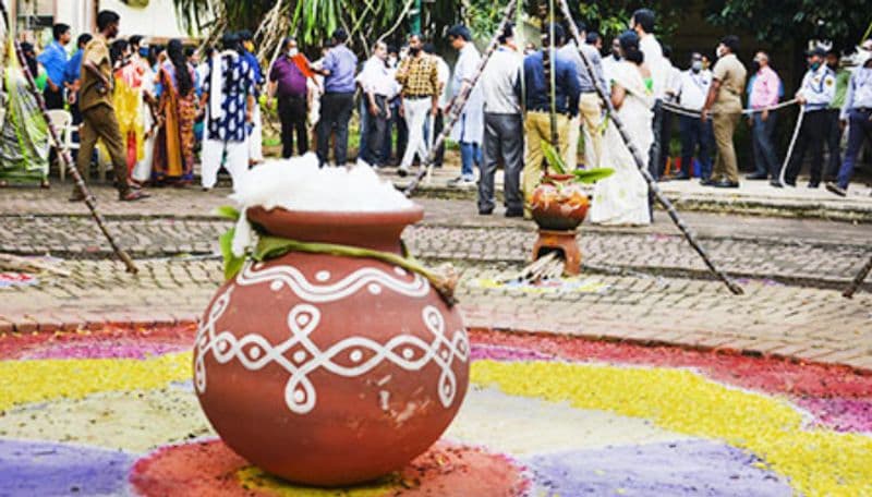 Pongal 2024: Know date, time, significance and more of this harvest ...