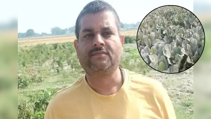 How Pradeep Kumar Dwivedi left corporate life to start a quinoa farming business | How Pradeep ...