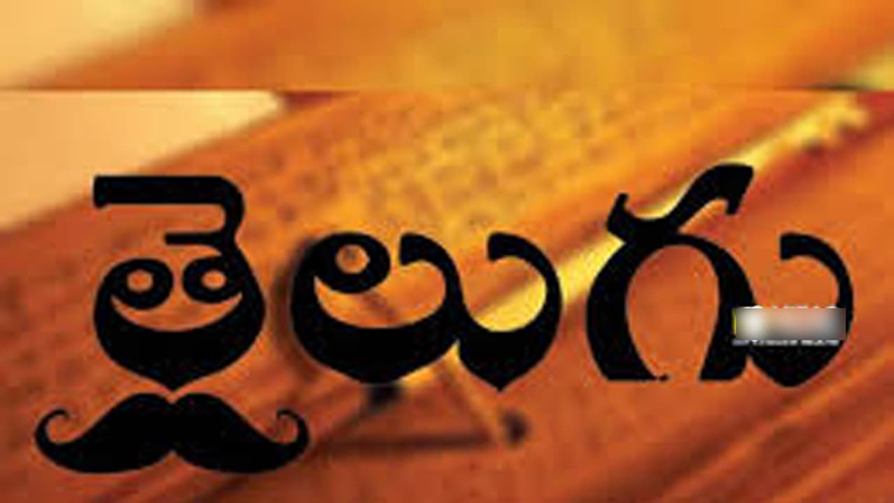 తెలుగు భాష దినోత్సవం 2023: తెలుగు భాష గురించి మీకు ఈ విషయాలు తెలుసా ...