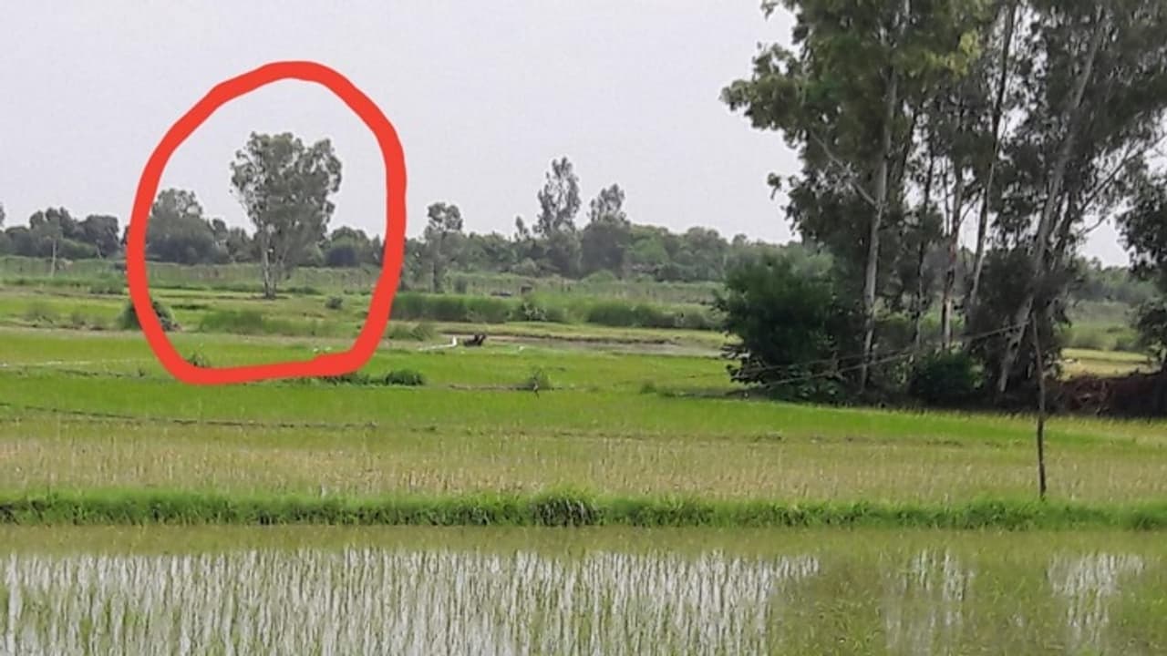 Unexploded shell bursts in Jammu: One killed, six injured | One Killed ...