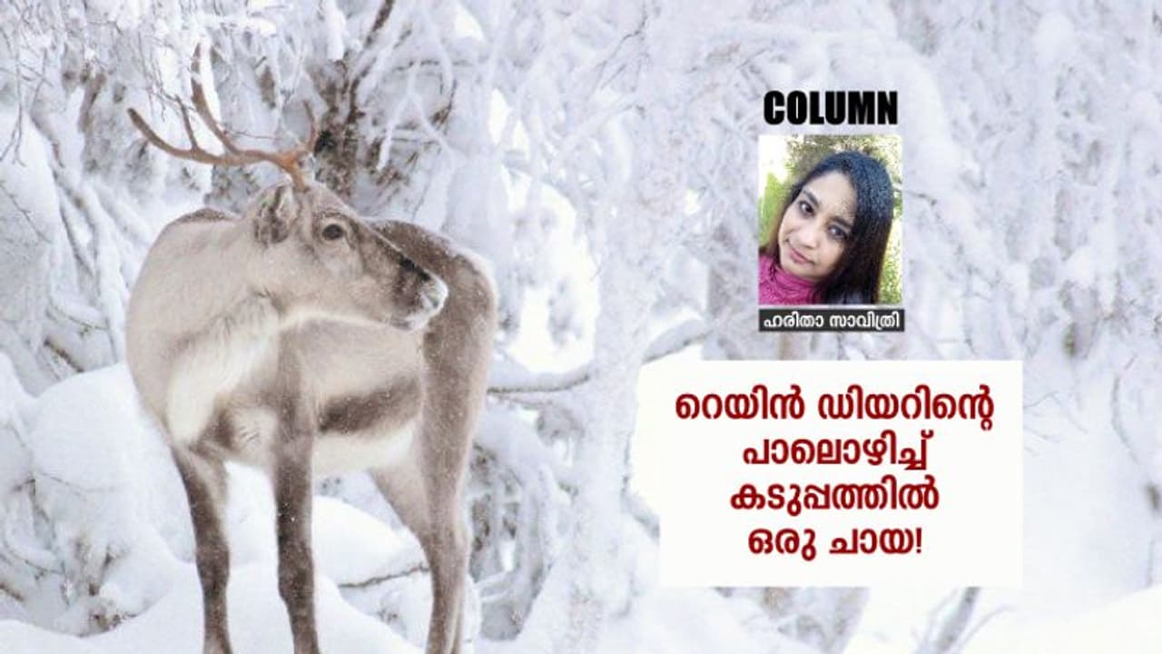 ആന്ദ്രെ എങ്ങനെയാണ് ധ്രുവമനുഷ്യനായത്? | Polar Life In Finland By Haritha ...