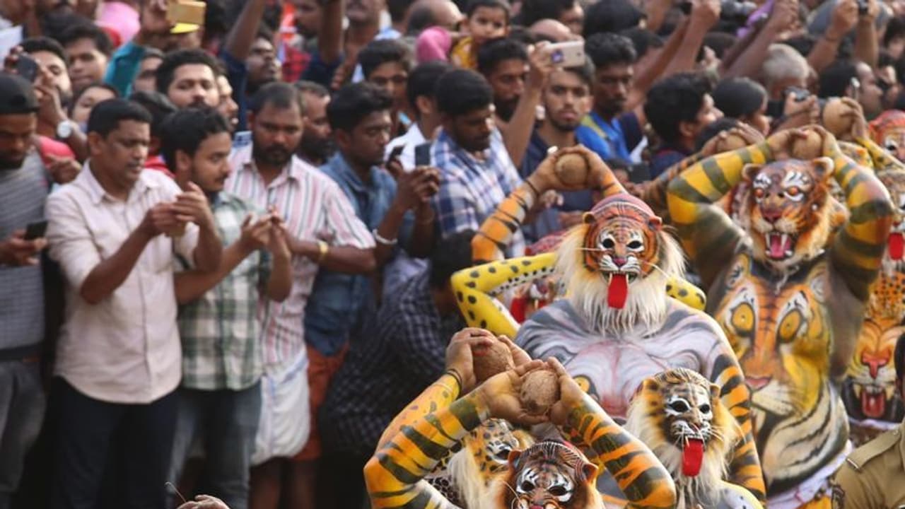 Kerala: Thrissur set for Pulikali today; Traffic restrictions to be ...