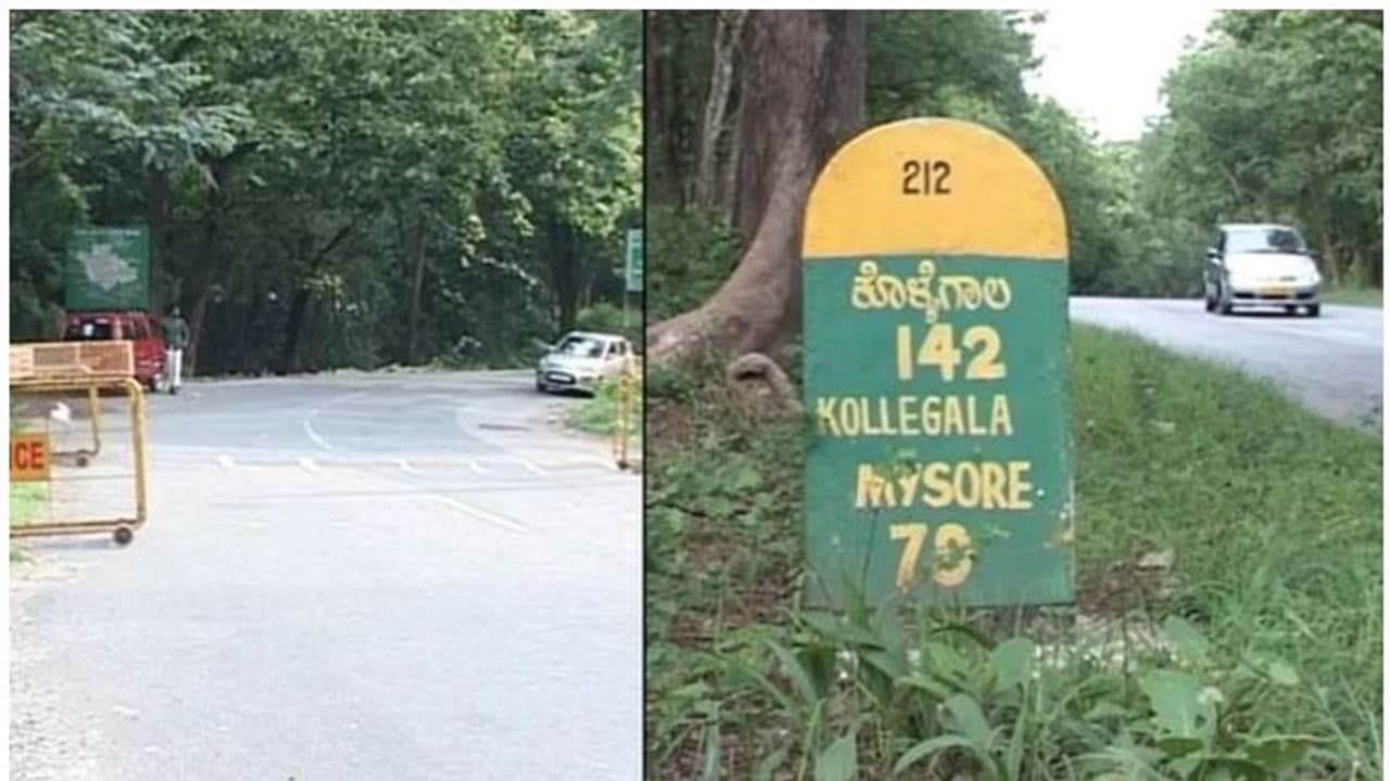 ദേശീയപാത 766 പകല്‍ അടച്ചാലും വന്യജീവികളുടെ ആവാസവ്യവസ്ഥയെ ബാധിക്കുമെന്ന് ...
