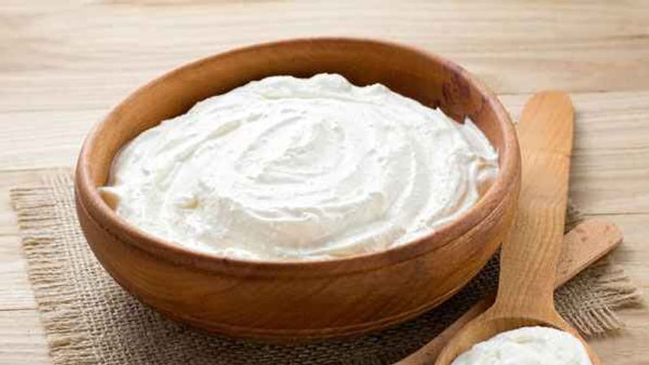 A glance at reasons you should include curd in your routine diet in ...