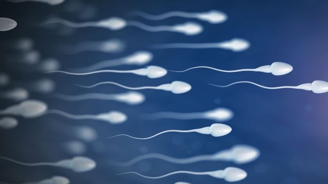 शादी के 5 साल, कोई बच्चा नहीं: क्या पुरुष भी बांझ हो सकते हैं ...