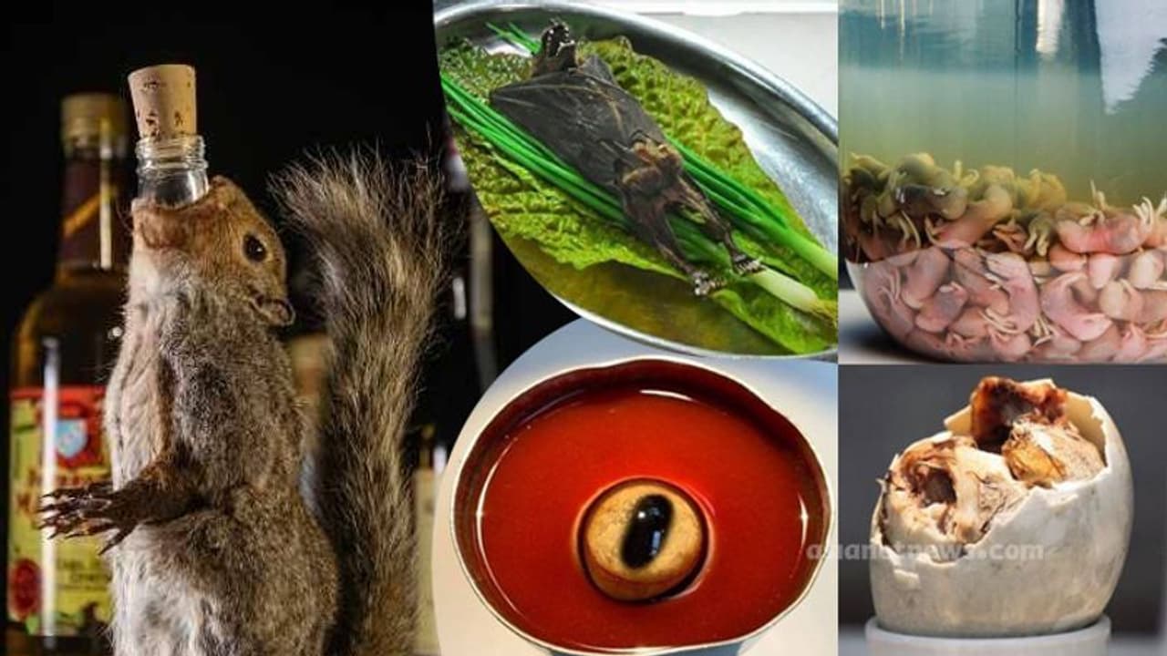ഓക്കാനം തോന്നുമെങ്കിലും ഇവയും ഭക്ഷണം; അറിയാം ലോകത്തെ ചില വിചിത്ര ...