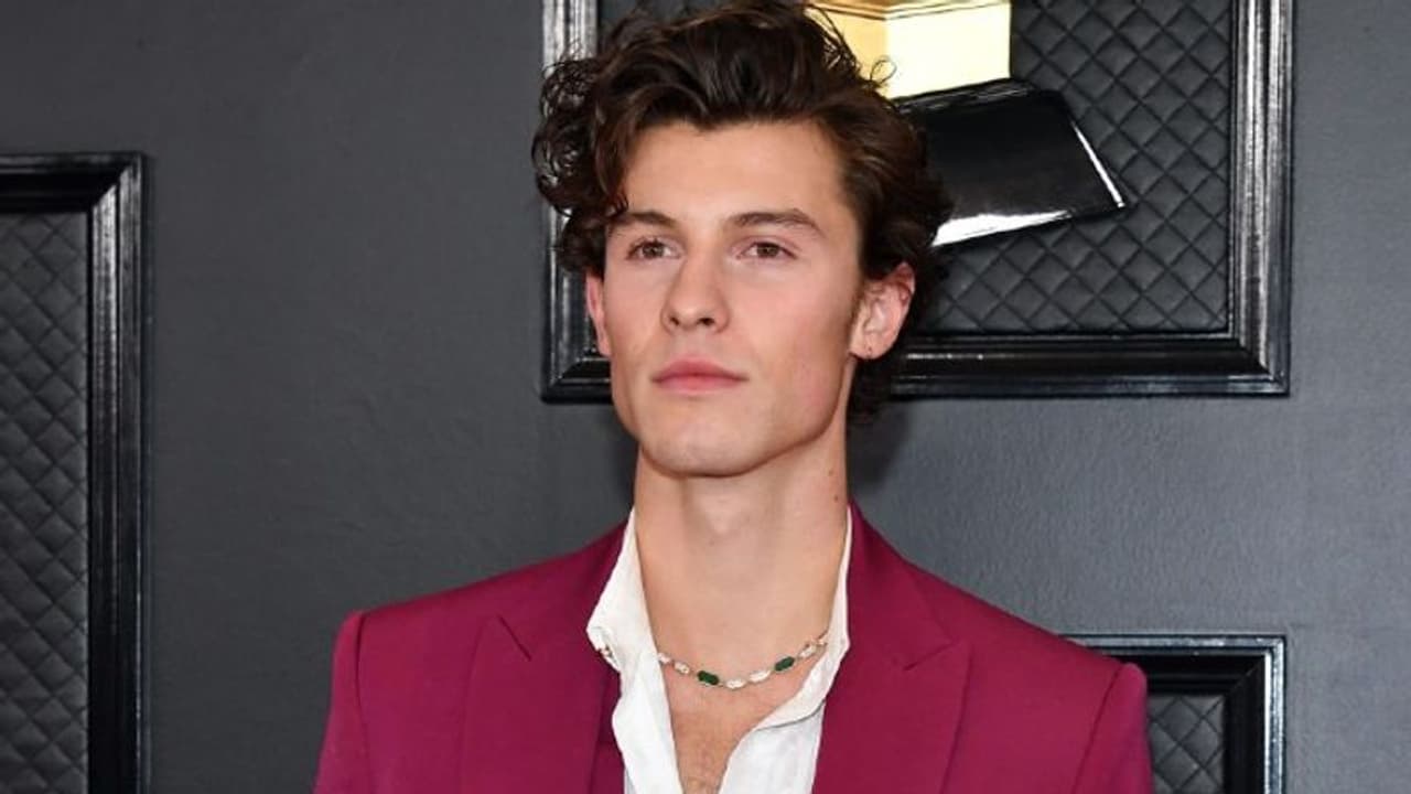 Lollapalooza 2025: Singer Shawn Mendes to perform in India, says ...