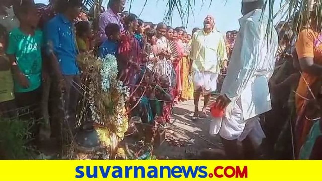 ಪುಂಡಿಗಿಡದಲ್ಲಿ ದೇವಿ ನೆಲೆಸಿದ್ದಾಳೆಂಬ ವದಂತಿ: ಮರ ನೋಡಲು ಮುಗಿಬಿದ್ದ ಜನ ...
