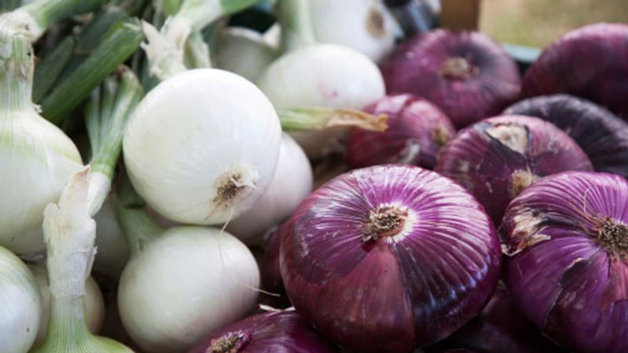 Red Onion Vs White Onion: Which is better for nutrition, health, taste ...