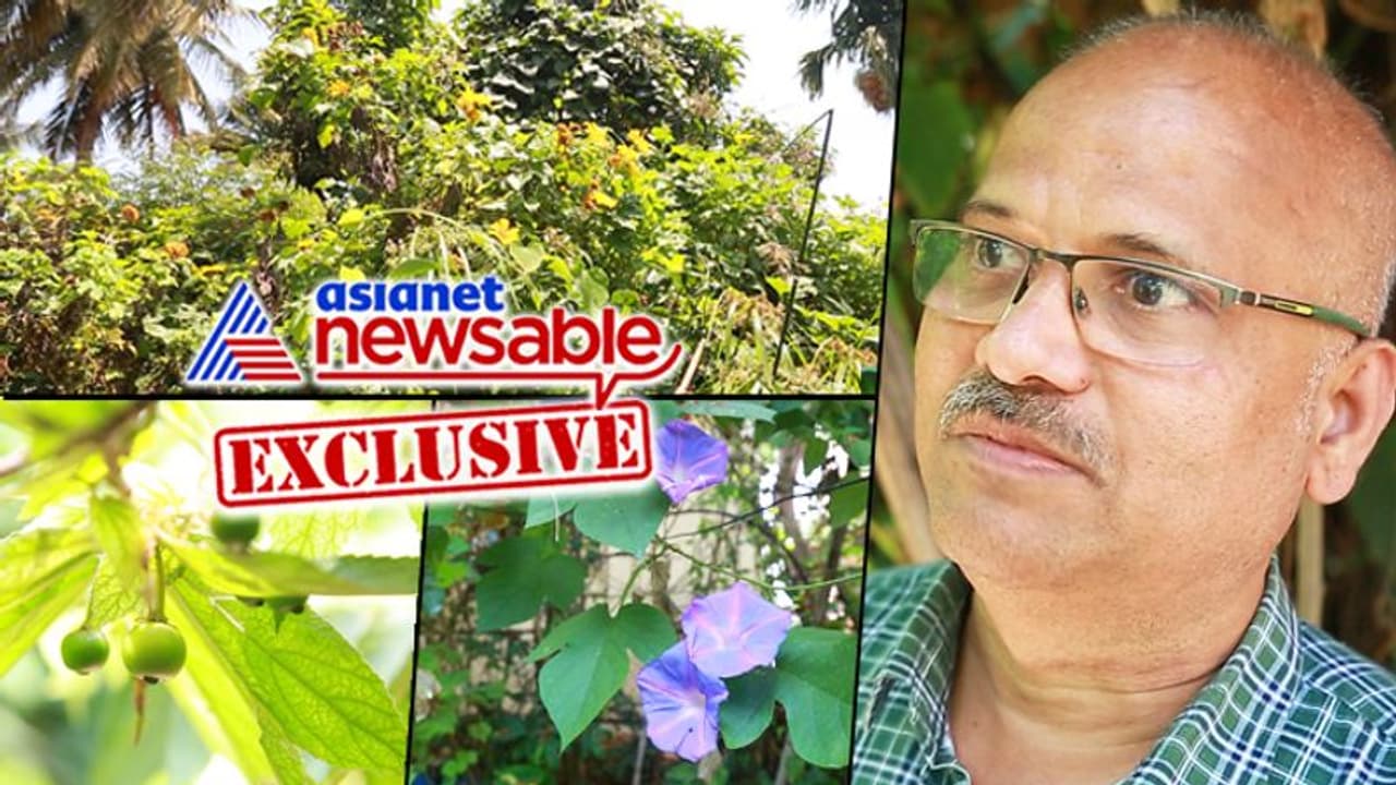 The man who grew a mini forest on his terrace in Bengaluru | Asianet ...