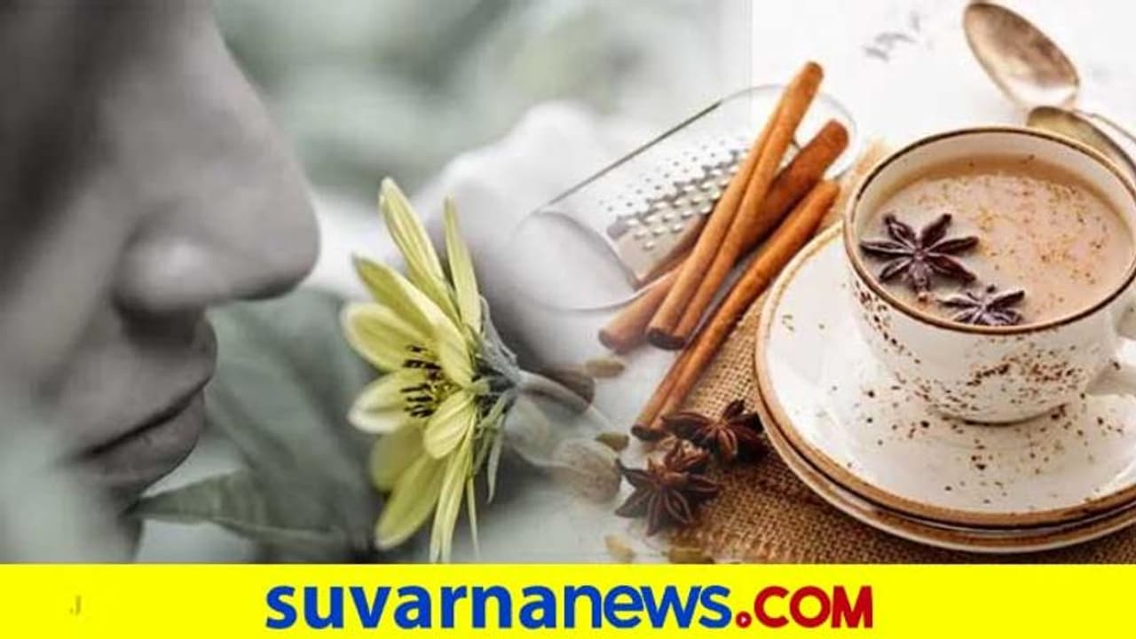 ರೋಗ ನಿರೋಧಕ ಶಕ್ತಿ ಹೆಚ್ಚಿಸುವ 6 ಅದ್ಭುತ ಚಹಾಗಳು | Variants of tea for better ...