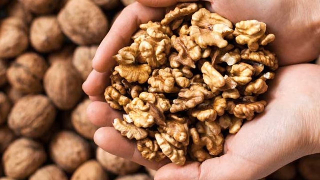 Walnut : ദിവസവും ഒരു പിടി വാൾനട്ട് കഴിക്കുന്നത് ശീലമാക്കൂ; ഗുണം ഇതാണ് ...
