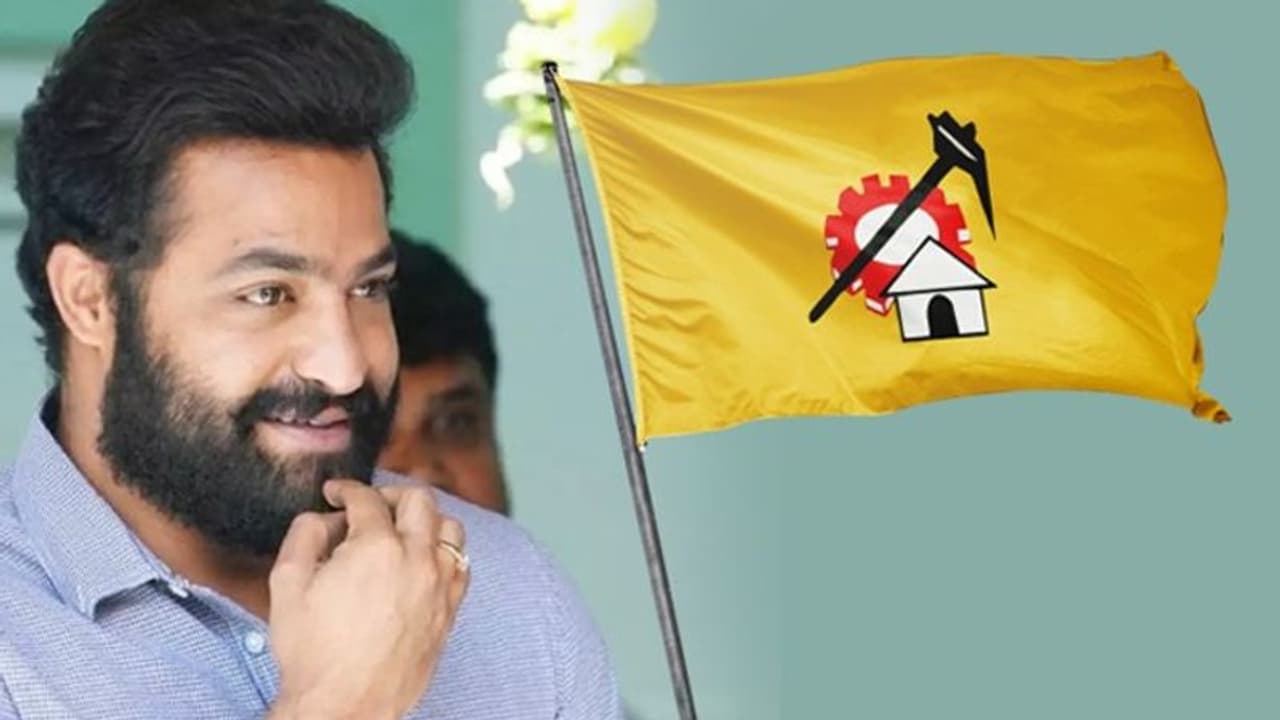 జూనియర్ ఎన్టీఆర్ టీడీపీ పగ్గాలు తీసుకోవాలి.. కుప్పంలో వెలసిన జెండాలు ...