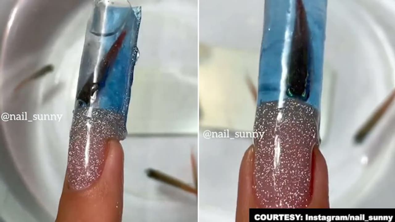 Nail artist's new aquarium manicure sparks outrage on internet; watch ...