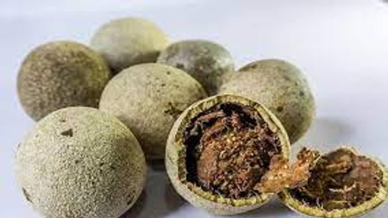Wood Apple: விளாம்பழம் சாப்பிட்டால் இவ்வளவு நன்மைகள் இருக்கா..? மிஸ் ...
