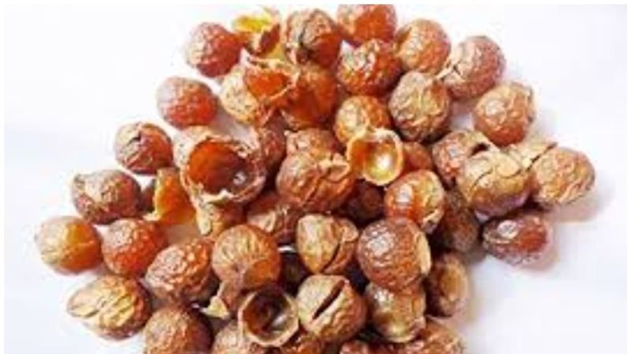 కుంకుడు కాయతో ఇలా చేస్తే వతైన పొడువు జుట్టు మీ సొంతం! | Best ...