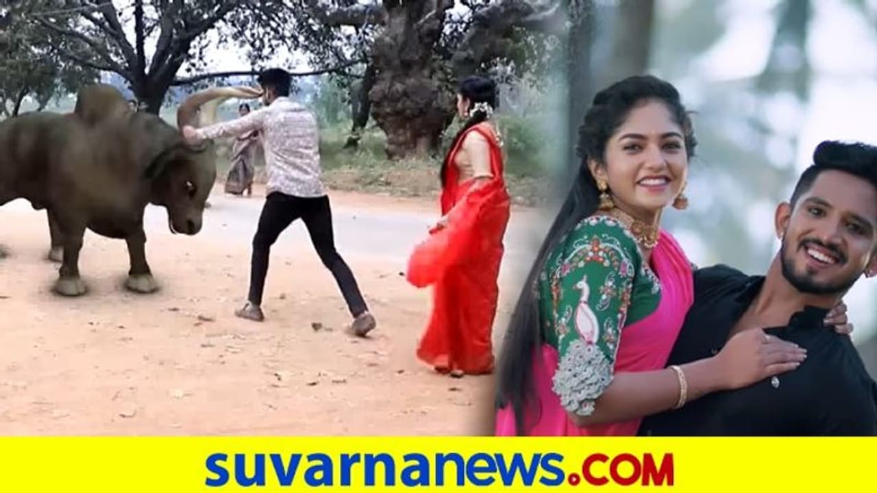 Geetha Serial Updates: ಗೂಳಿ ಜೊತೆ ವಿಜಯ್ ಫೈಟ್, ಕನ್ನಡದ ಬಾಹುಬಲಿ ಎಂದ ...