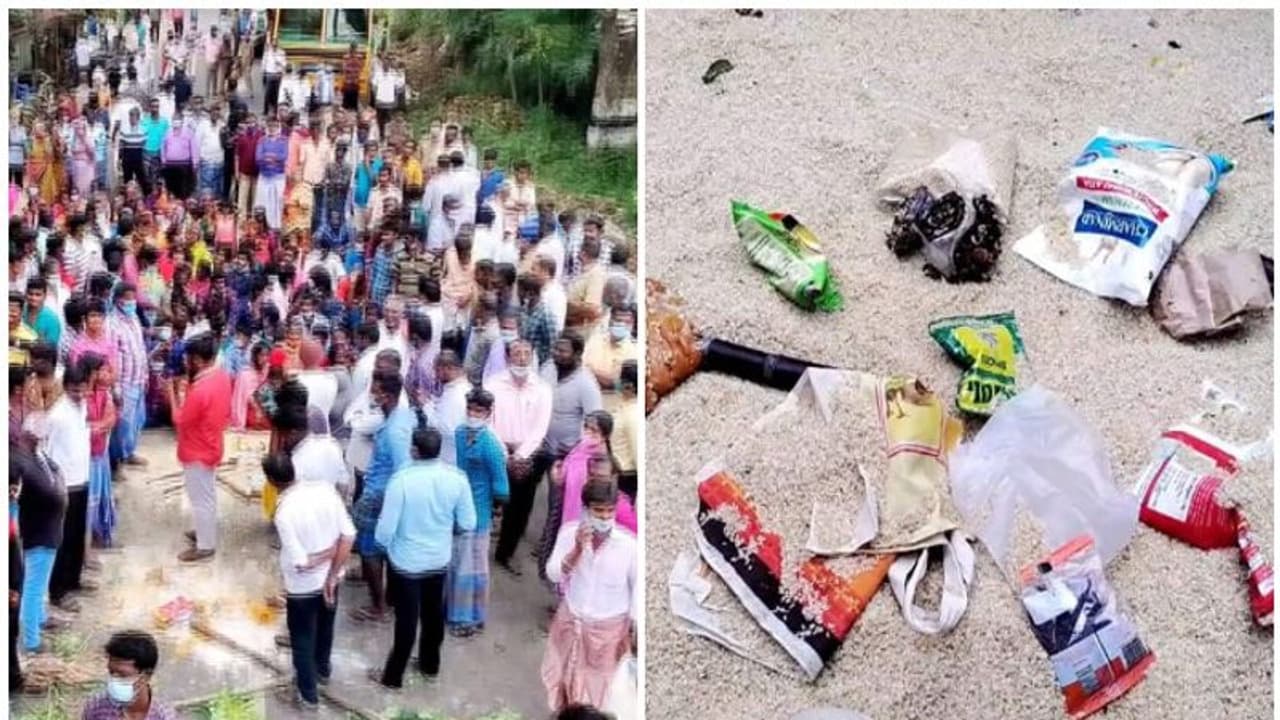 Pongal Kit : പൊങ്കൽ കിറ്റിന് ഗുണനിലവാരമില്ല; കിറ്റ് റോഡി ...