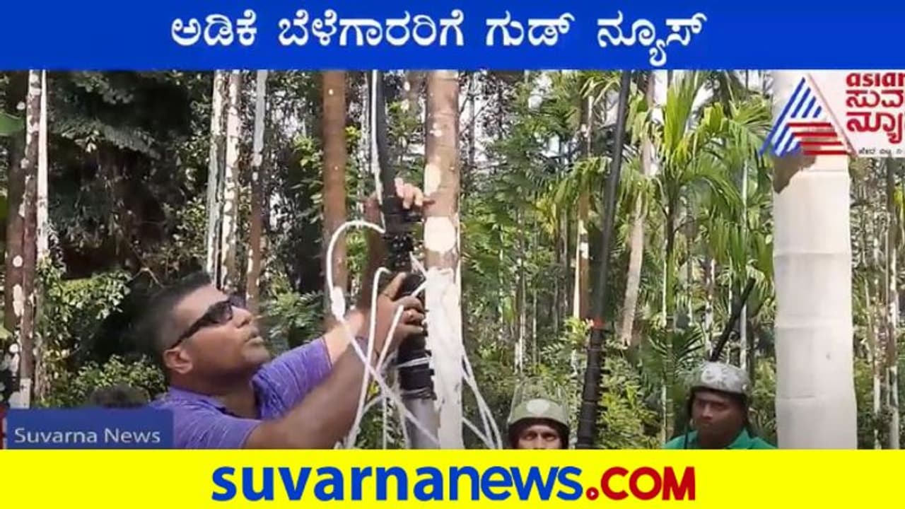 Dakshina Kannada: ಅಡಿಕೆ ಬೆಳೆಗಾರರಿಗೆ ಗುಡ್‌ ನ್ಯೂಸ್: ಕೊಯ್ಲು, ಔಷಧಿ ...