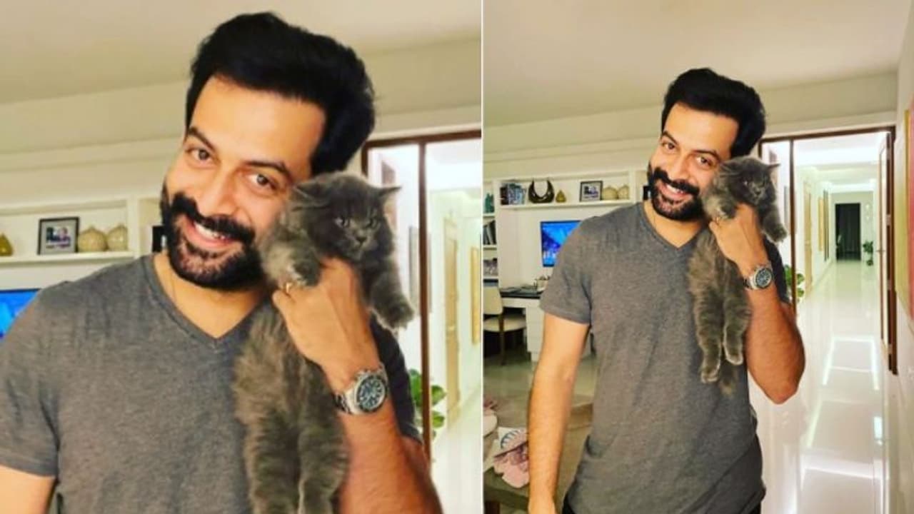 Prithviraj Photos : ‘അവൾക്കും എന്നെ ഇഷ്ട്ടപ്പെട്ടില്ല’: റോക്സി ചേർത്തു ...