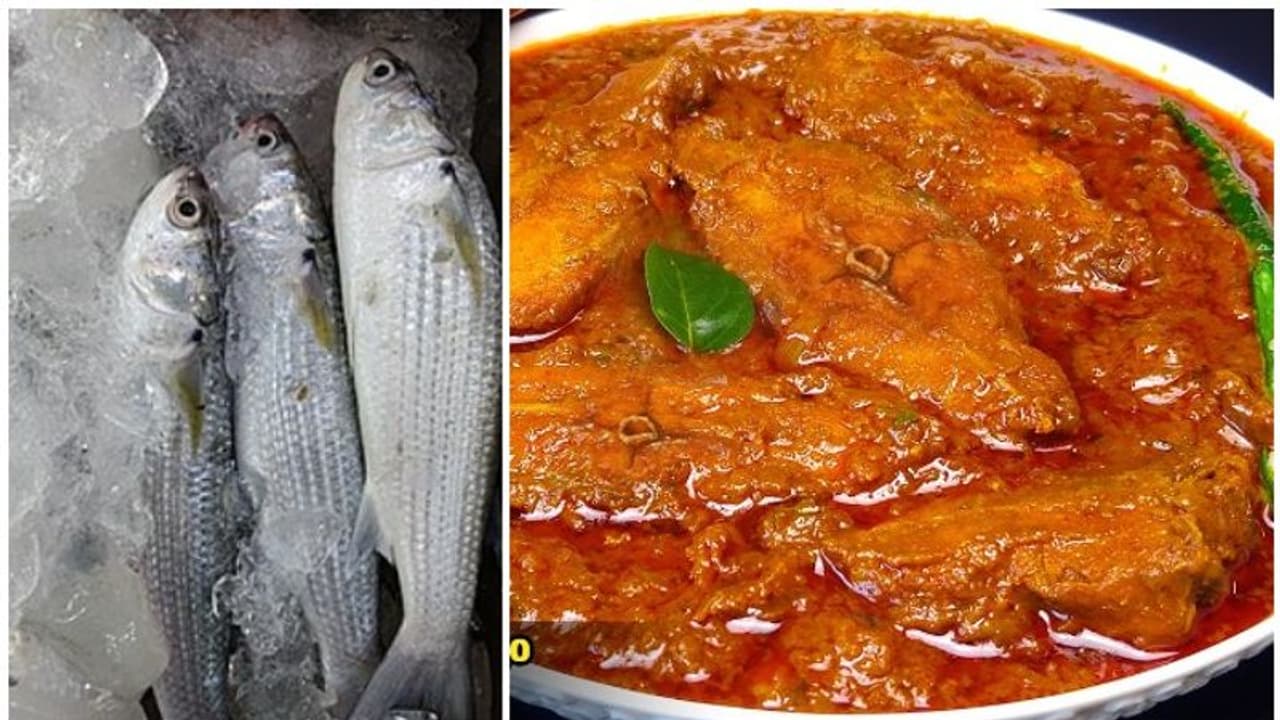 രുചികളിലെ രാജാവ്, അങ്ങ് ദില്ലിയിൽ വരെ പിടി; എന്താണ് തിരുത മീനിന്റെ ...