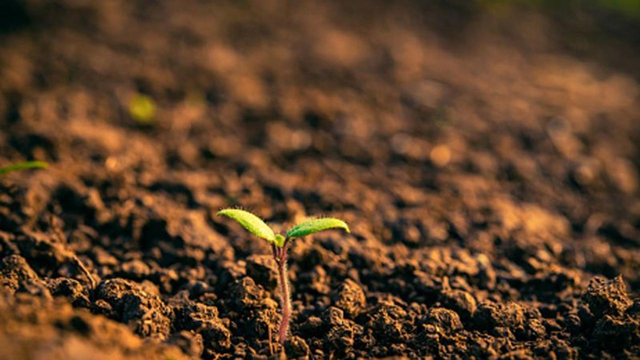 Save Soil Movement: मिट्टी के बारे में वो 15 महत्वपूर्ण फैक्ट जो सभी को ...