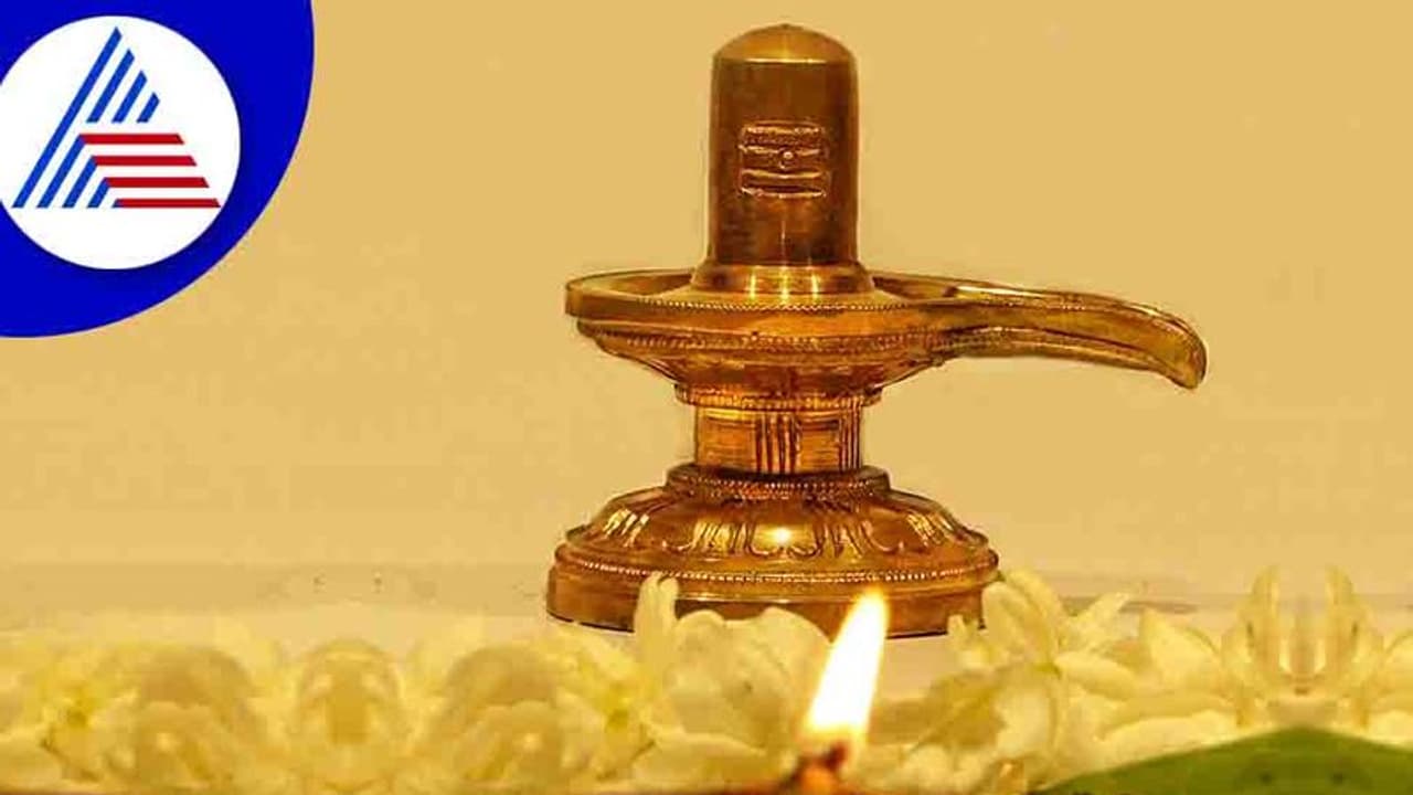 types of shiva lingams for lingam worship : Shiva Lingam : சிவ ...