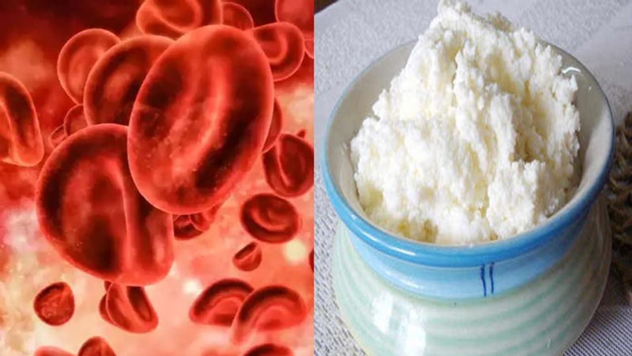 Blood poisoning: ఈ తెల్లని ఫుడ్స్ బ్లడ్ పాయిజన్ కు దారితీస్తాయి ...