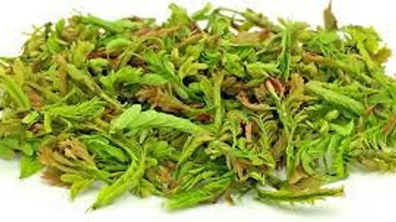 ಹುಣಸೆ ಎಲೆಗಳಿಂದ ಪಡೆಯಿರಿ ನ್ಯಾಚುರಲ್ ಕಪ್ಪು ಕೂದಲು | How To Use Tamarind ...