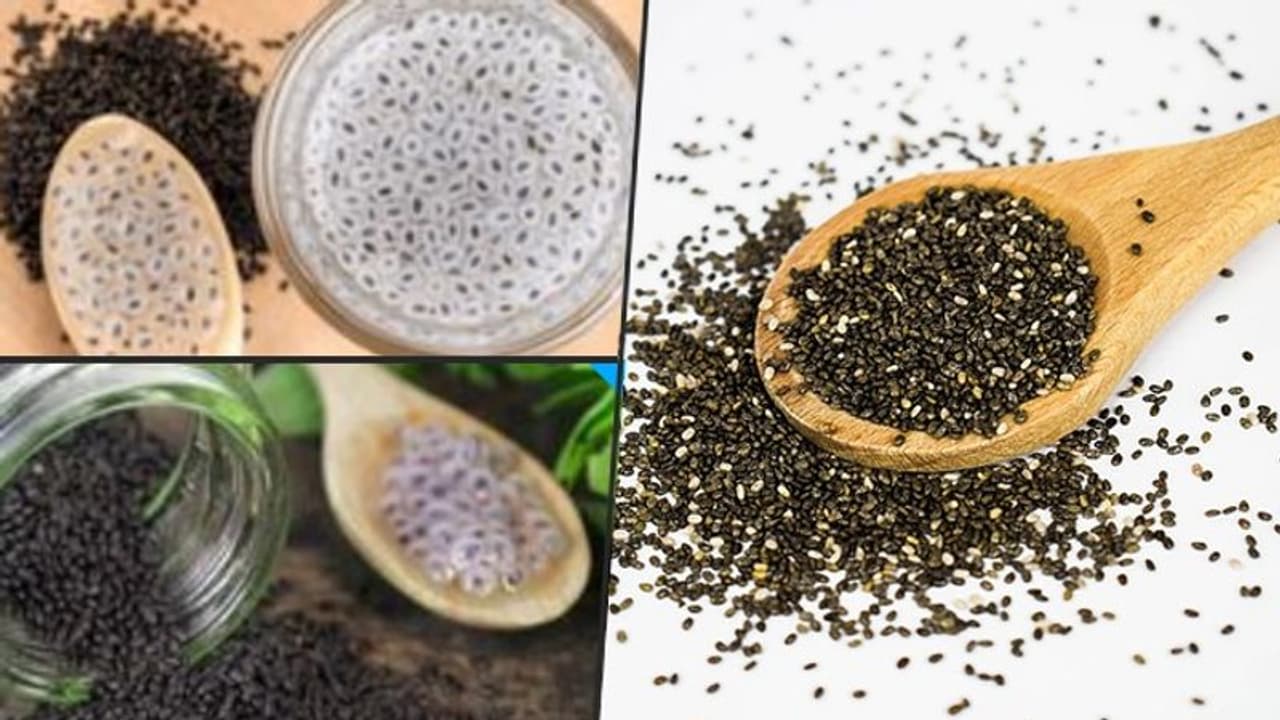 Chia or Sabja seeds? Know the difference between two and their health ...