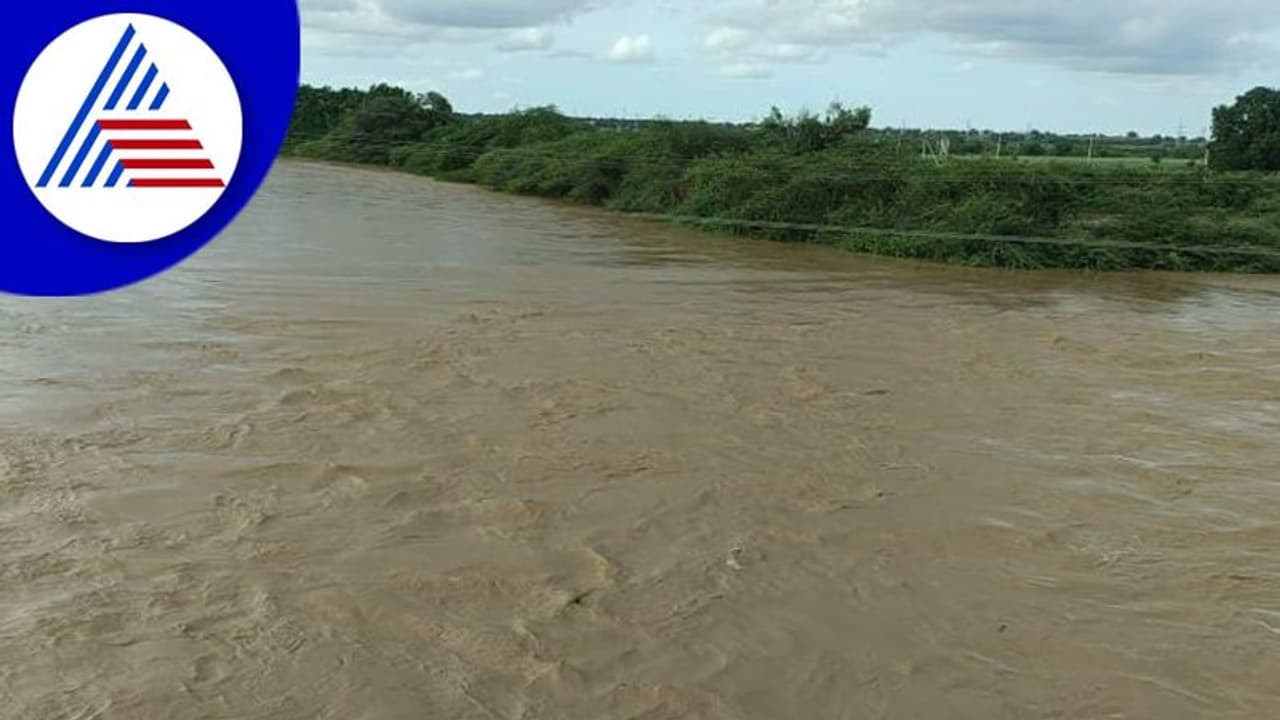 Vijayapura: ಡೋಣಿ ನದಿ ಪ್ರವಾಹದ ಅಬ್ಬರಕ್ಕೆ ಹರನಾಳ ಗ್ರಾಮಸ್ಥರ ನರಳಾಟ ...