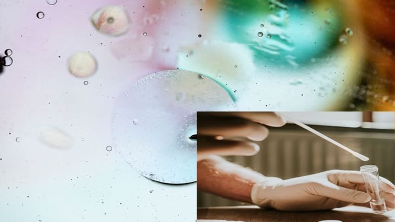 Embryo Survival Explained: Step Inside the 37°C IVF Lab; Expert Speaks ...