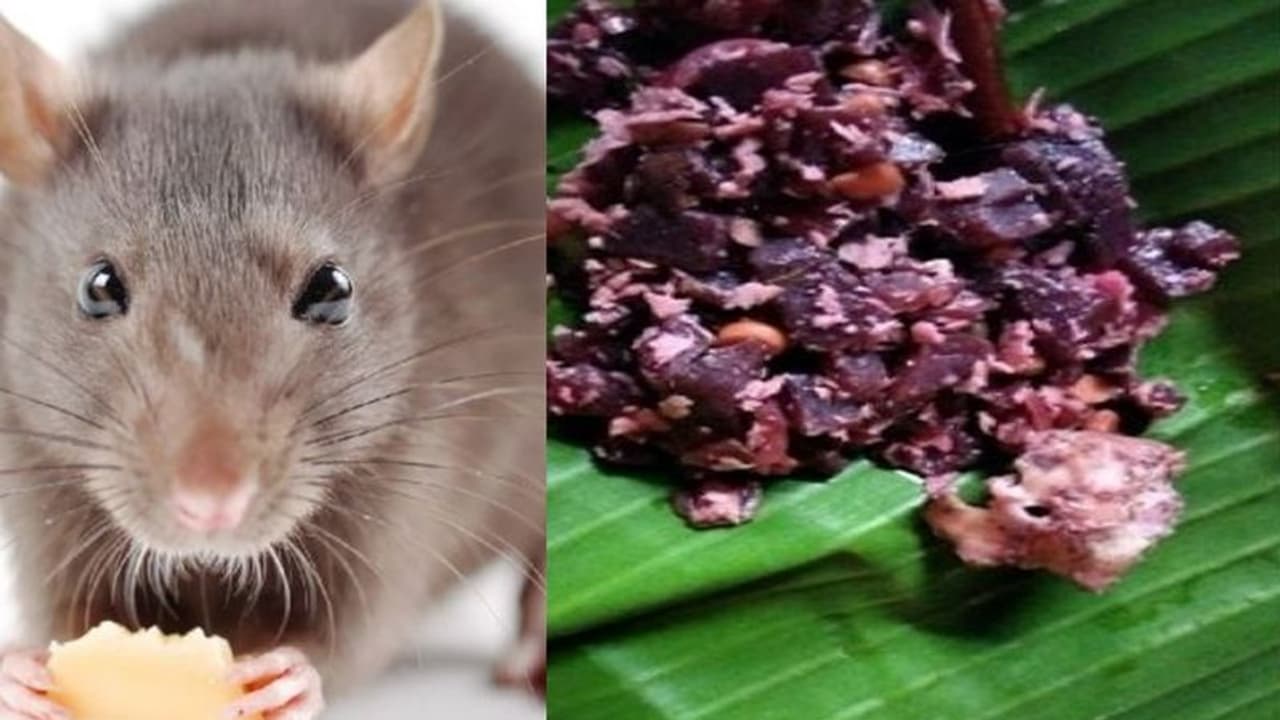 ಫೇಮಸ್ ಹೊಟೇಲ್‌ನ ಬಿಟ್‌ರೂಟ್ ಪಲ್ಯದಲ್ಲಿ ಸಿಕ್ತು ಇಲಿಯ ತಲೆ | Rat Head Found In Beetroot Fry In Tamilnadu ...