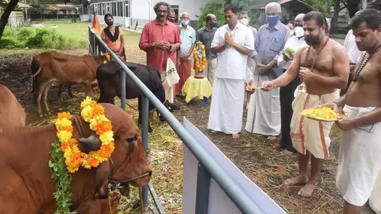 ದೇಗುಲಗಳಲ್ಲಿ ದೀಪಾವಳಿ ದಿನ ಸರ್ಕಾರಿ ಗೋಪೂಜೆ! | Gopooja In Temples On Diwali ...