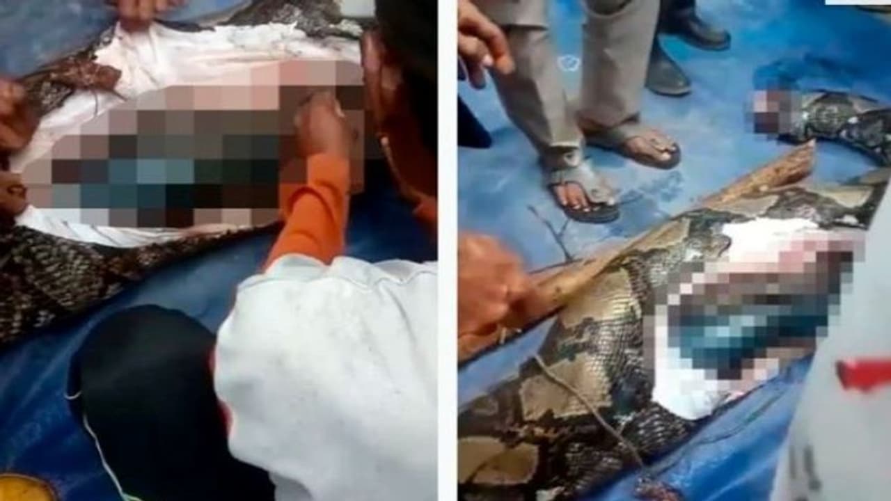 Shocking Photos: दो दिन से गायब महिला को बहुत खोजा, जानते हैं कहां मिली ...