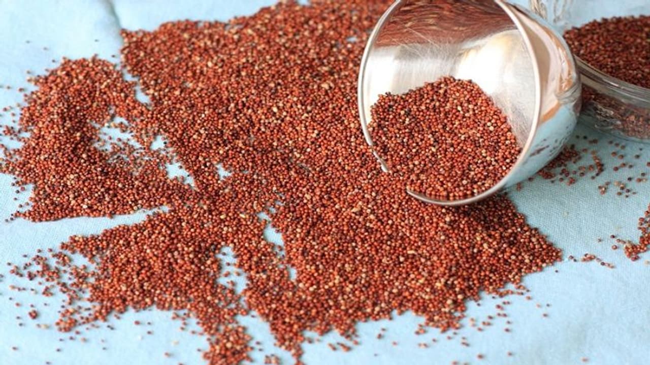 Millets to be part of mid-day meals in Chhattisgarh's 12 districts ...