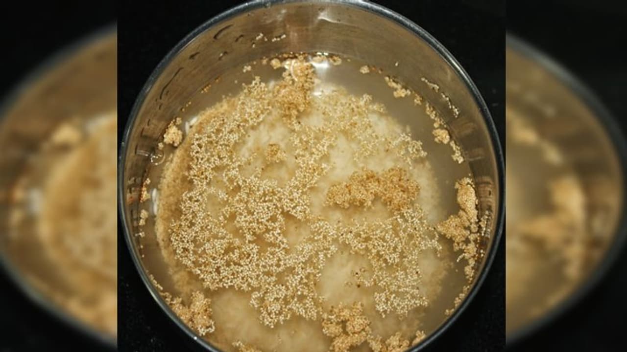 Soak It Up: 5 Foods That Are Better Cooked After Soaking | 5 Foods You ...