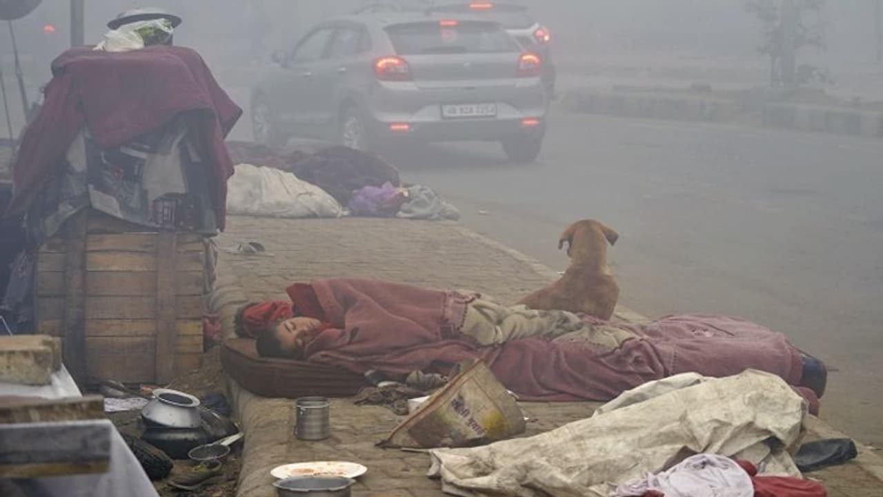 Cold wave alert! Mercury in Delhi can drop to 3 degrees Celsius ...