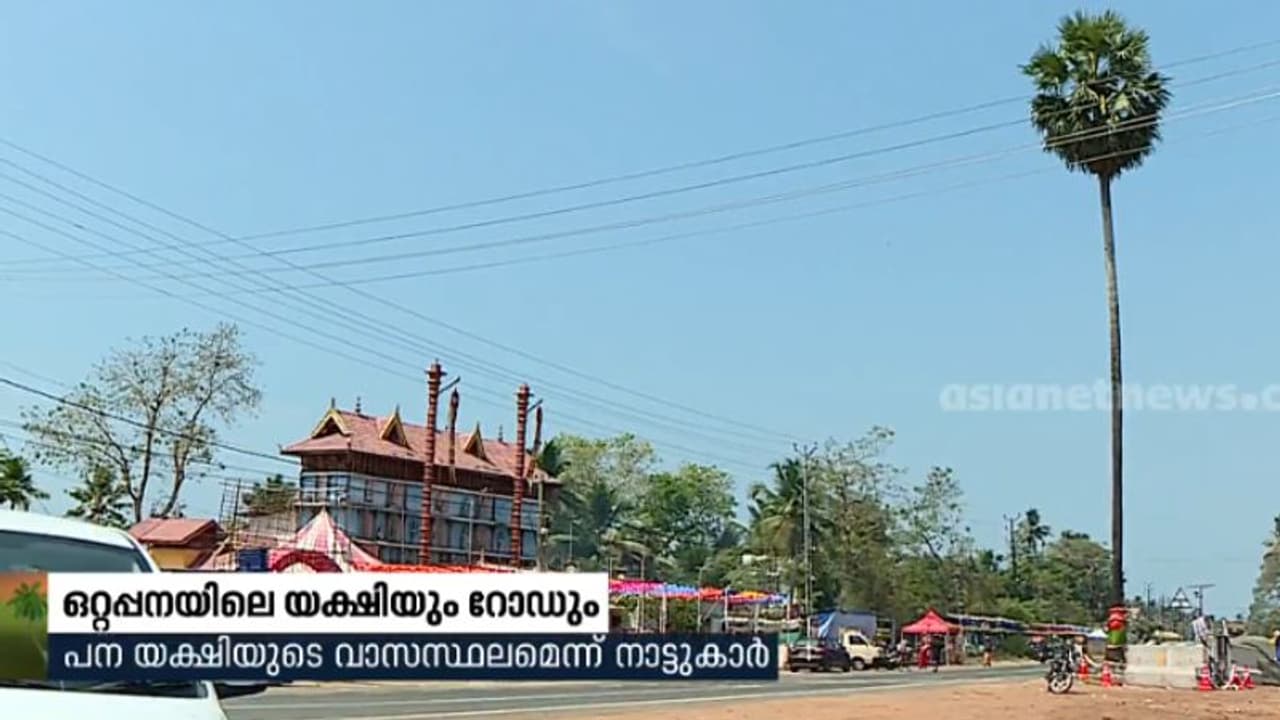 തോട്ടപ്പളളിയിലെ 'ഒറ്റപ്പന' മുറിക്കുന്നു; ദേശീയപാതാ അതോറിറ്റിക്ക് അനുമതി ...