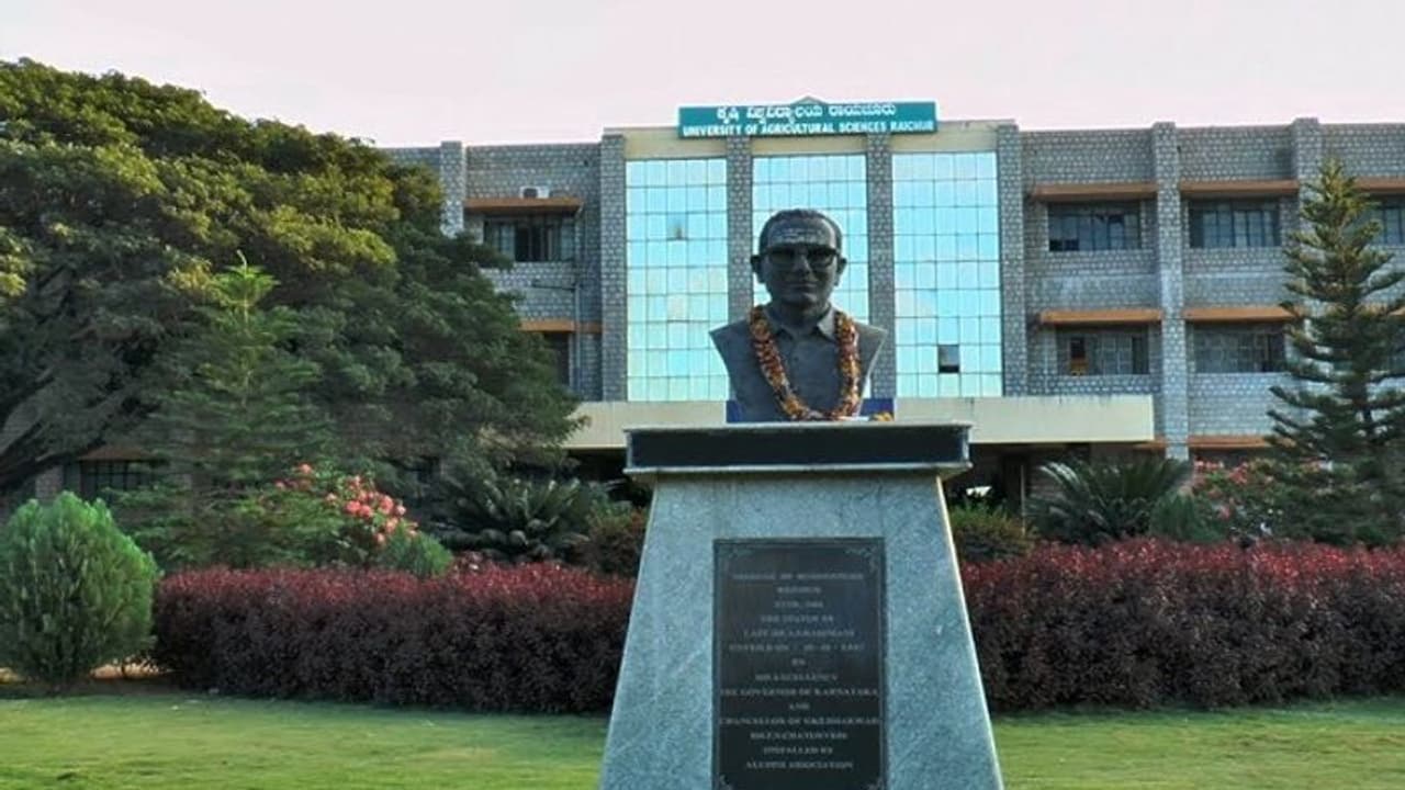 ರಾಯಚೂರು: ವಿದ್ಯಾರ್ಥಿಗಳ ಪ್ರತಿಭಟನೆಗೆ ಬ್ರೇಕ್ ಹಾಕಲು ಕೃಷಿ ವಿವಿ ಹೊಸ ಪ್ಲಾನ್ ...