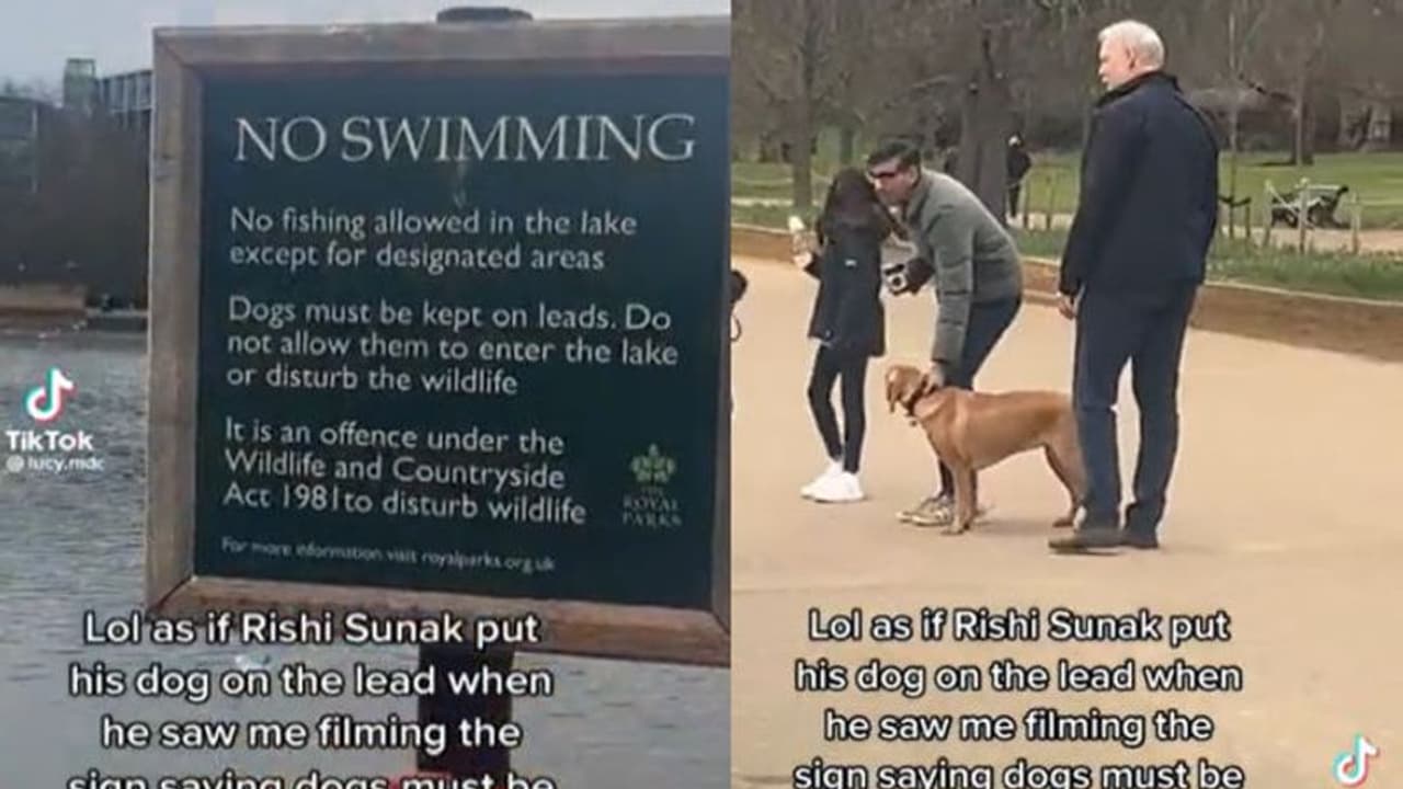 UK PM Sunak and his wife told to put pet dog on leash in Hyde Park ...