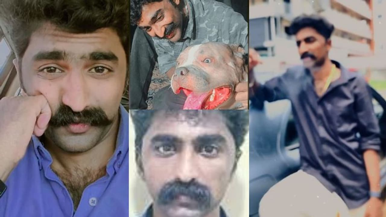 Tik Tok star Meeshakkaran Vineeth Arrest latest news ടിക് ടോക് താരം ...