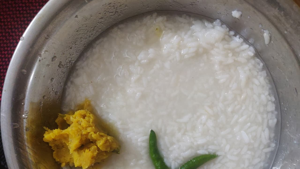 What is Panta Bhat? Know health benefit of THIS Popular Bengali ...