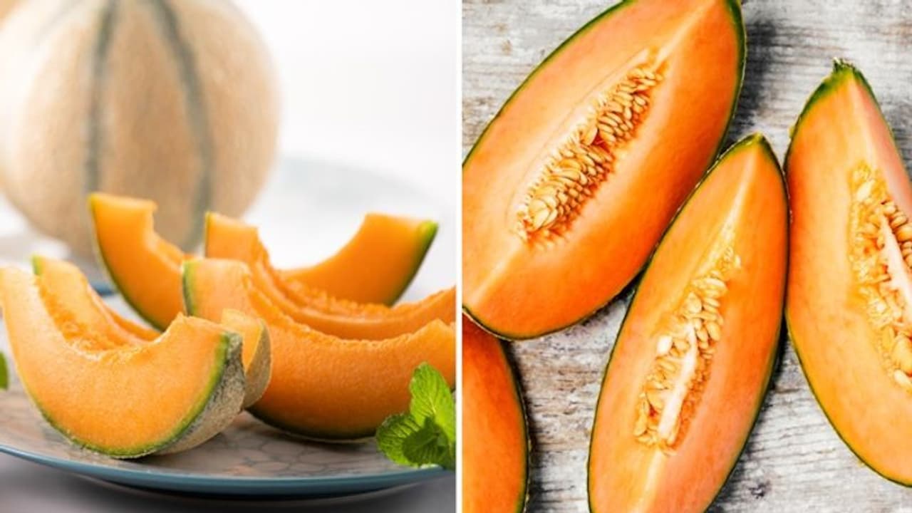 Want to lose weight FAST? Eat THIS fruit in summer for many health ...