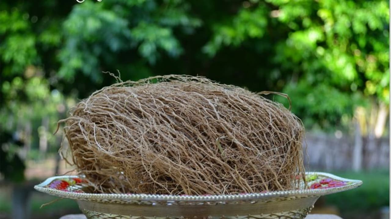 Beat the Heat with Lavancha: Unlock its Amazing Summer Health Benefits ...