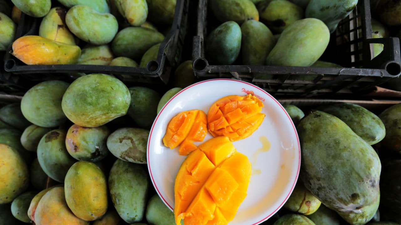 Mango season alert! Learn to spot real mangoes and avoid harmful chemicals | Asianet Newsable