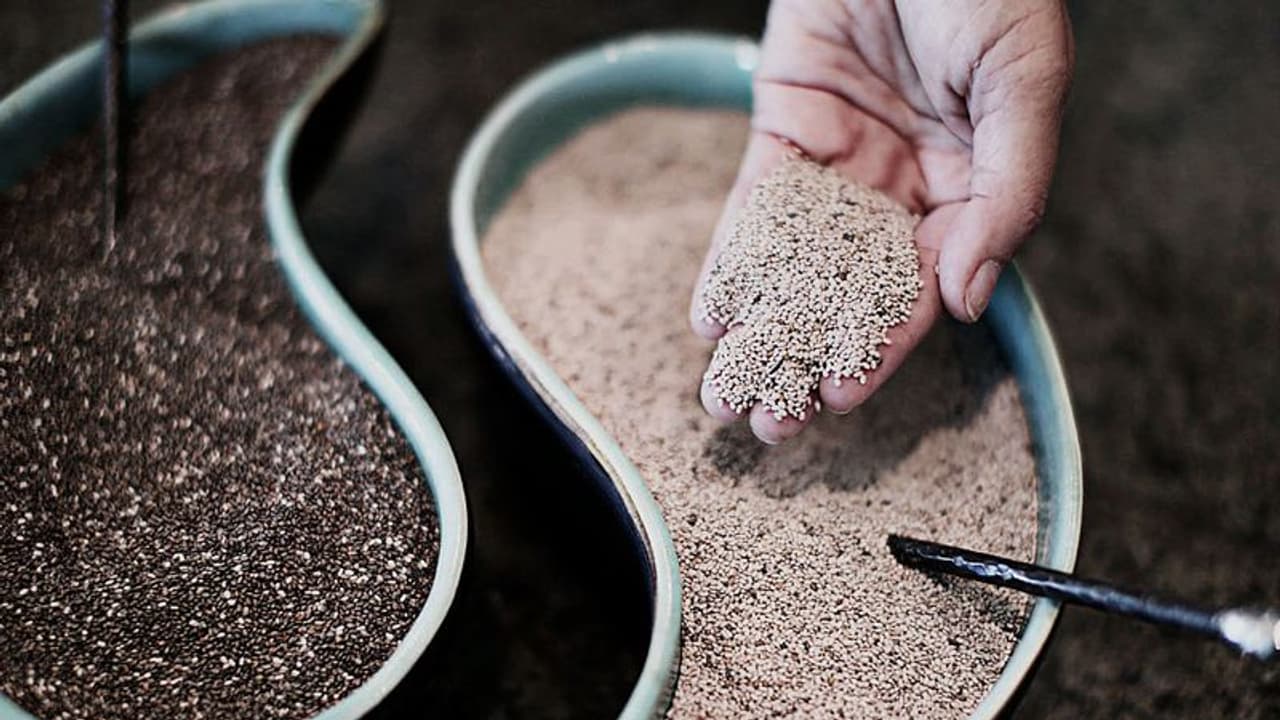 Here are 7 health benefits of Chia seeds, check them out | Asianet Newsable