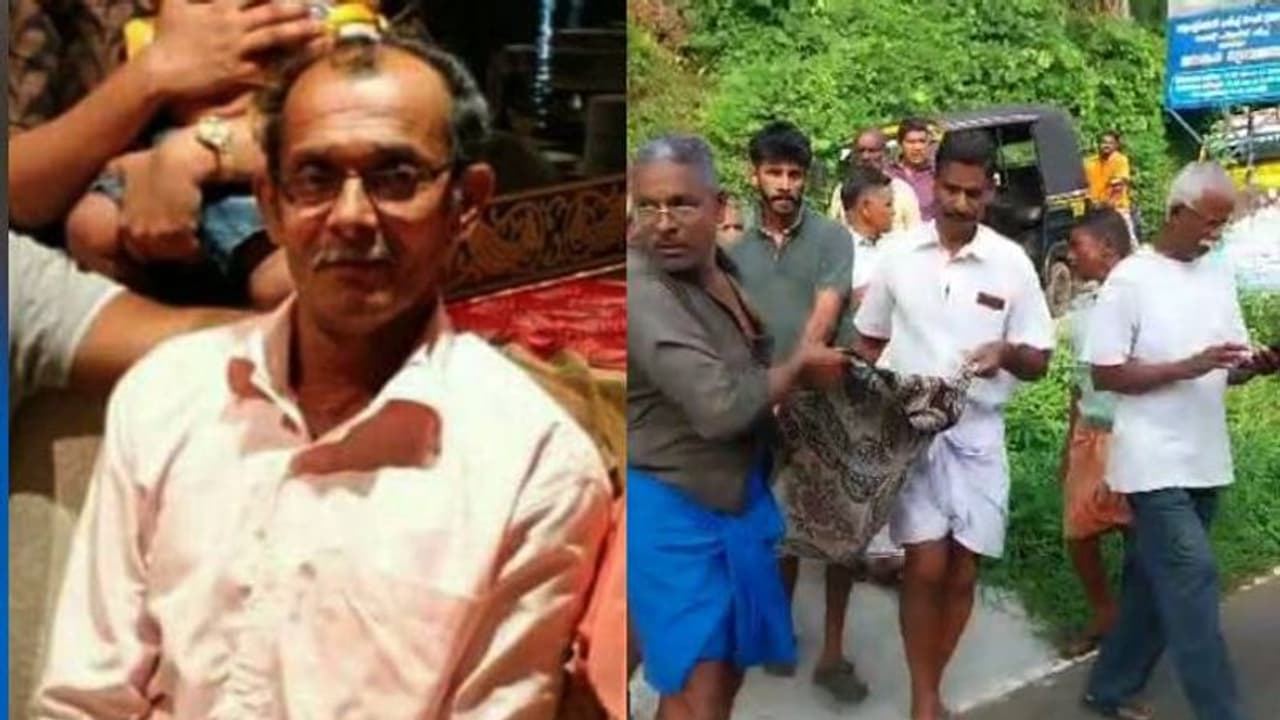 Two separate gaur attacks kill three persons in Kerala | Asianet Newsable