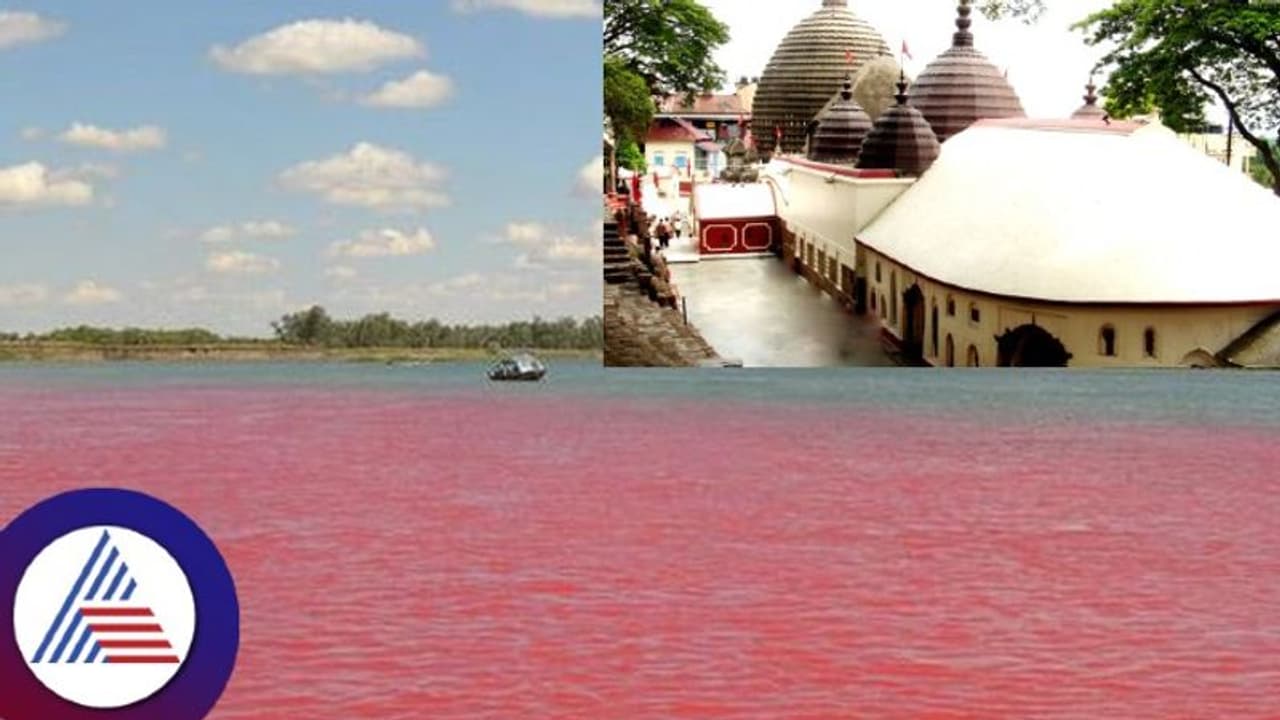 Kamakhya Temple: ಬ್ರಹ್ಮಪುತ್ರ ನದಿ ಏಕೆ ಮೂರು ದಿನಗಳ ಕಾಲ ಕೆಂಪಾಗುತ್ತದೆ ...