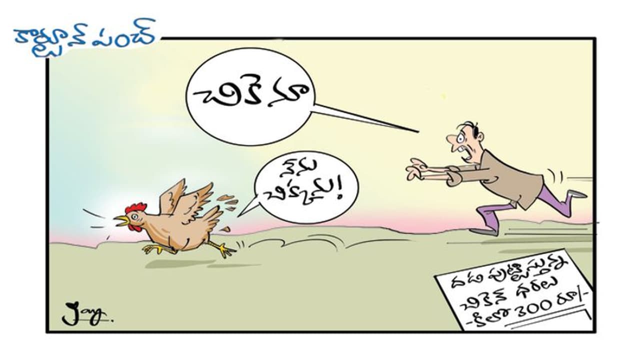చిక్కను .. దొరకను అంటున్న చికెను..!! | Cartoon Punch On Chicken Price ...